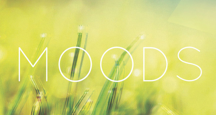 Moods – Love Is Real – Casablanca Sunset